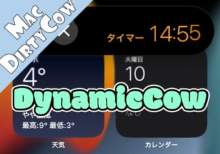 iPhone 14 Pro以外でもDynamic Islandを有効化「DynamicCow」が登場、iOS 16.1.2以下で使用可能 | Tools 4 Hack